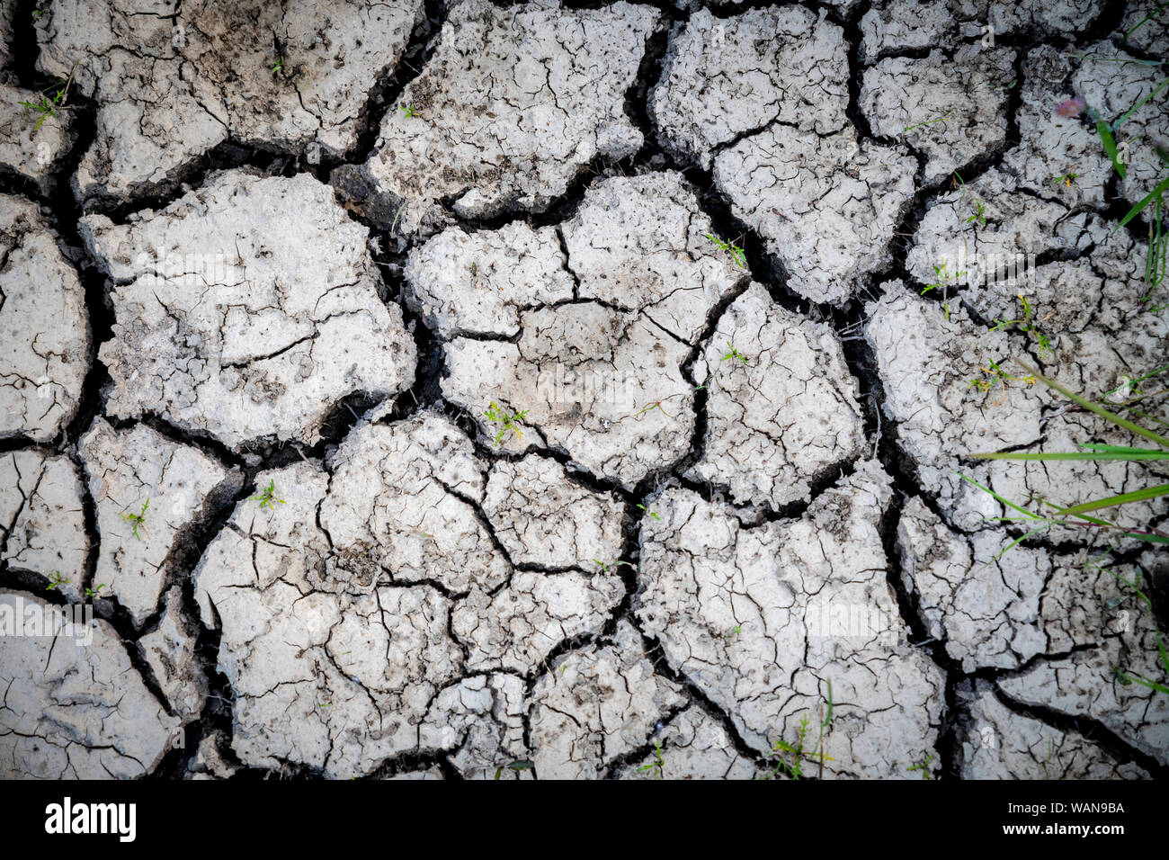 Dried ground in an agricultural field. Dry weather conditions due to ...