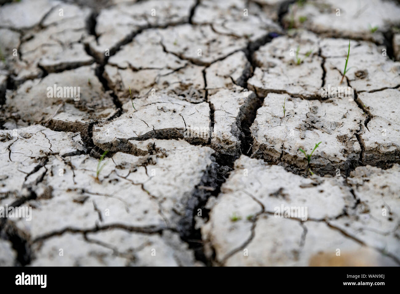 Dried ground in an agricultural field. Dry weather conditions due to ...