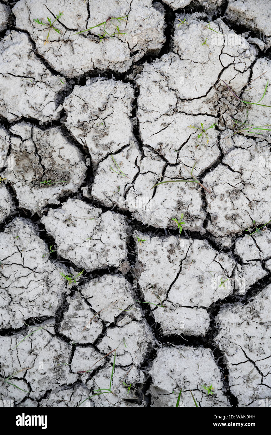 Dried ground in an agricultural field. Dry weather conditions due to ...
