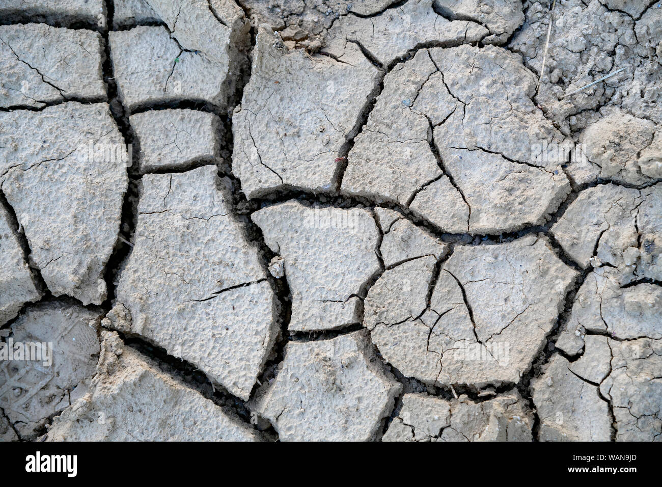 Dried ground in an agricultural field. Dry weather conditions due to ...