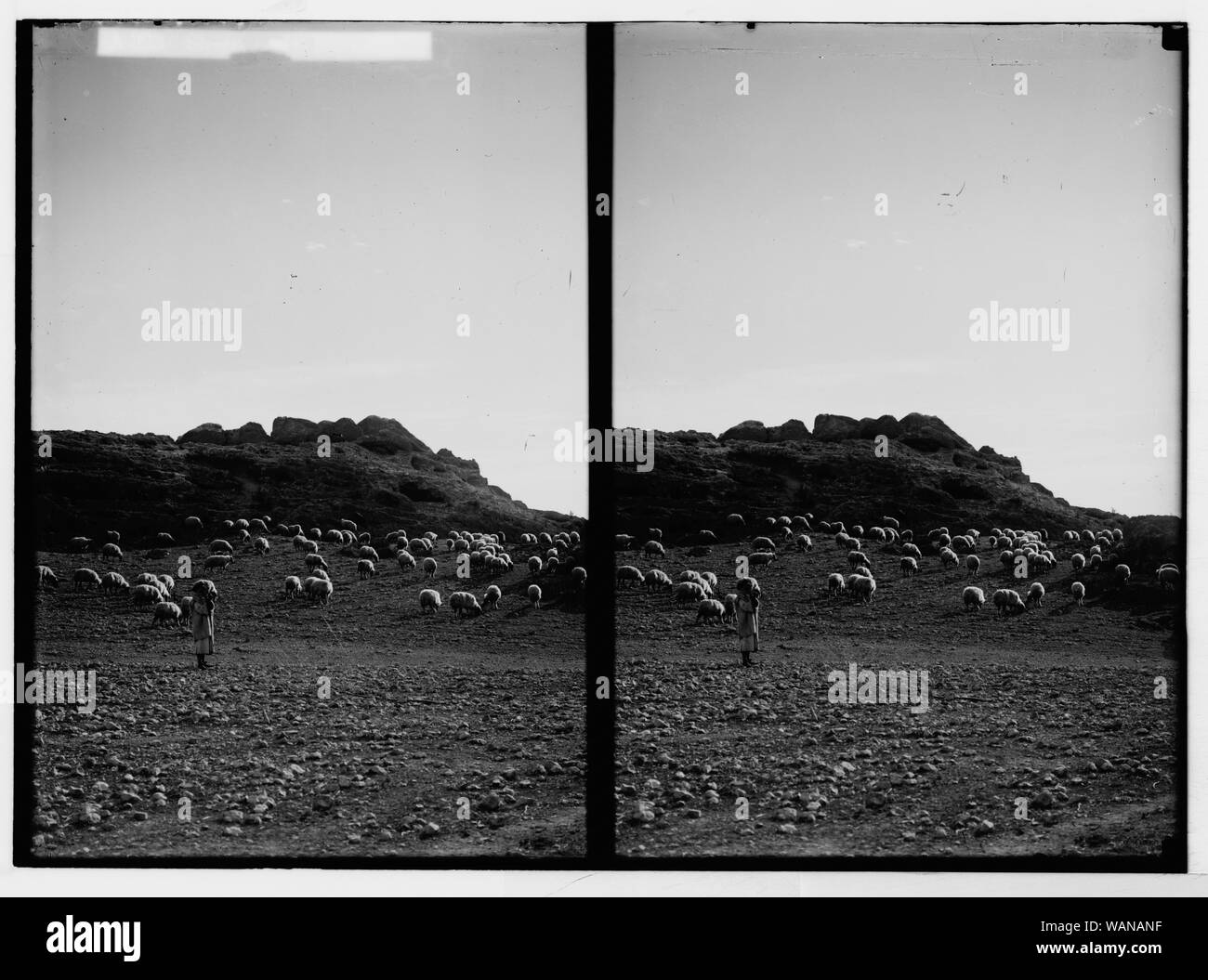 Costumed animal Black and White Stock Photos & Images - Alamy