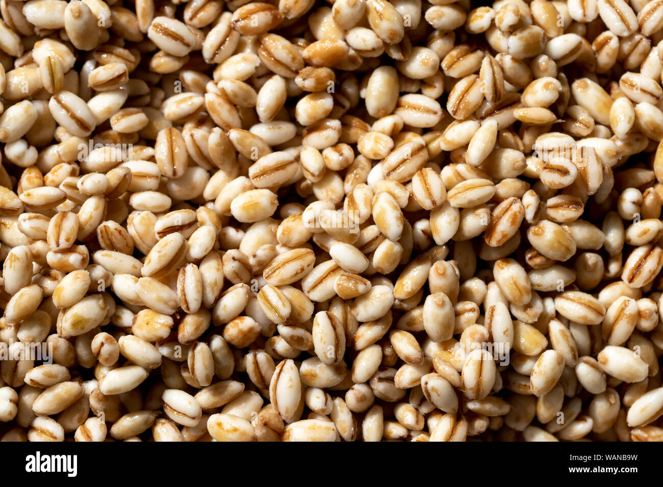 Barley grains background or texture. Gluten-Free and healthy vegeterian ...