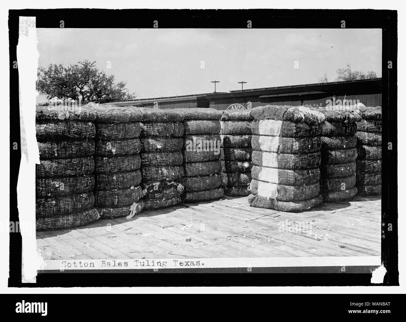 Cotton bales Cut Out Stock Images & Pictures - Alamy