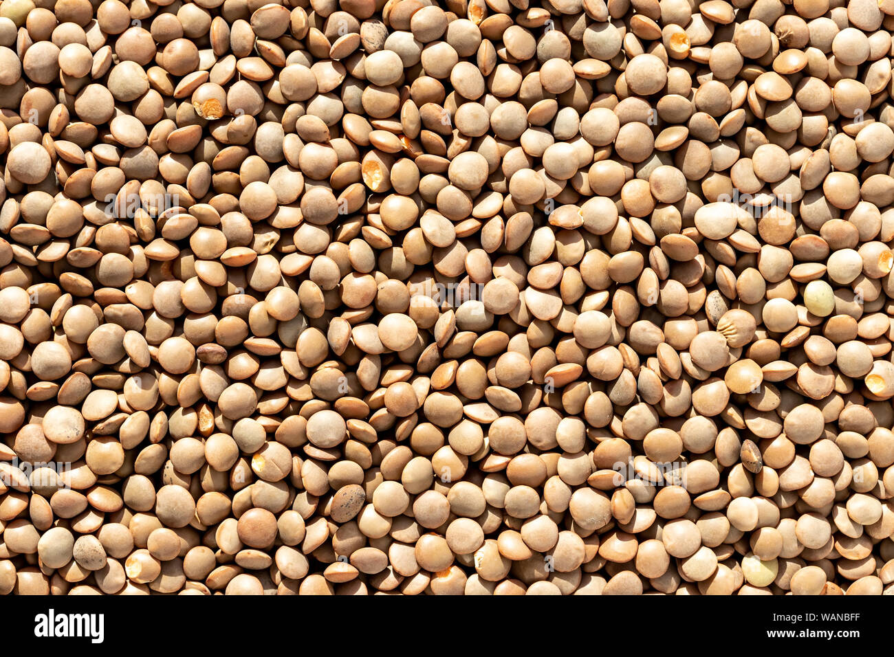 Close up brown lentil seeds background. Healthy vegeterian food ...