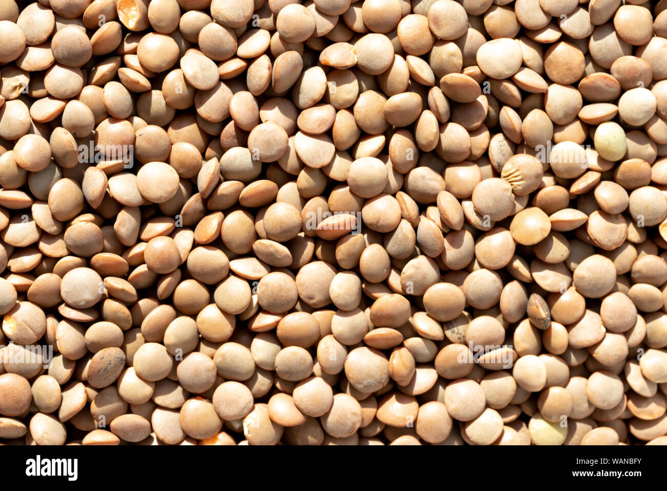 Close up brown lentil seeds background. Healthy vegeterian food ...