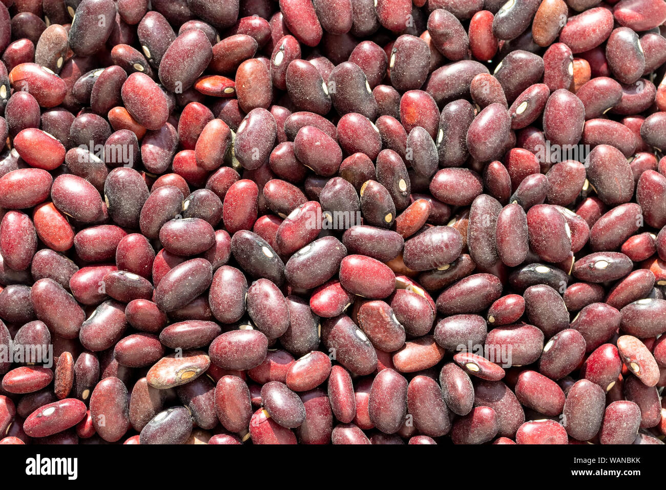 Close up Red bean seeds background. Healthy vegan food. Texture Stock ...