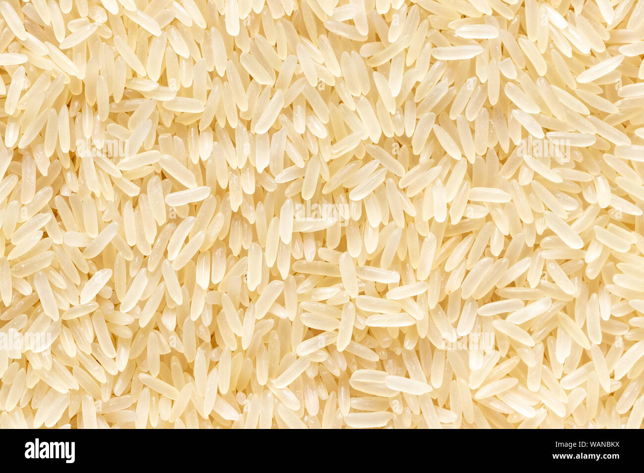 Rice grains background or texture. Gluten-Free and healthy vegeterian ...