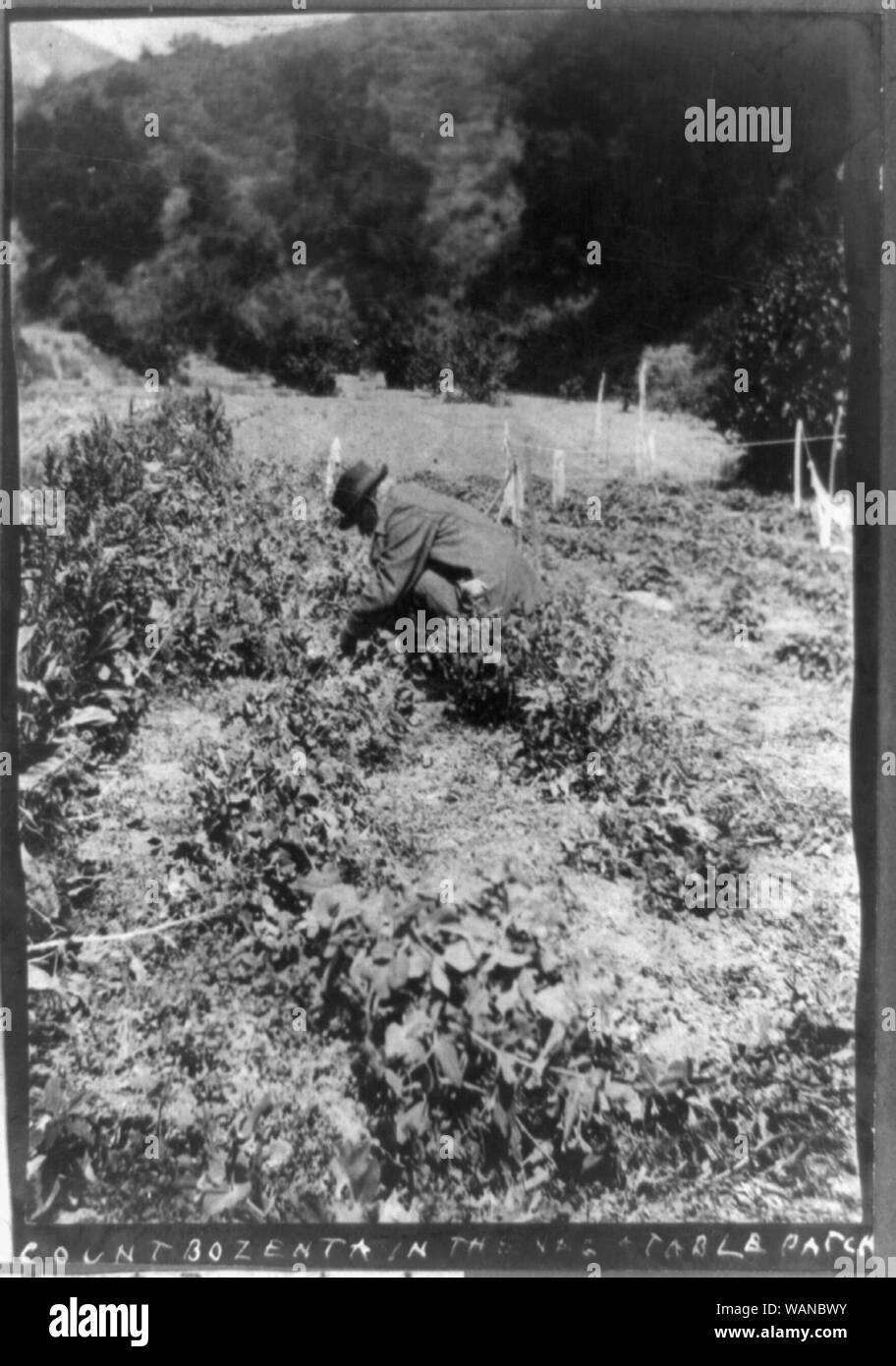 Garden count Black and White Stock Photos & Images - Alamy