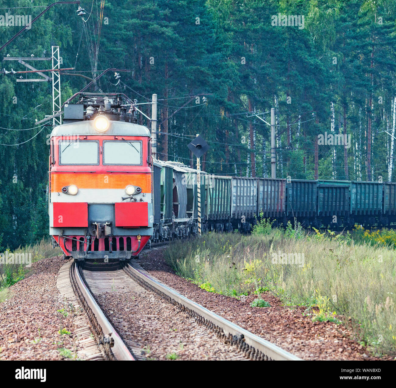 Freight train moves on the forest background Stock Photo - Alamy