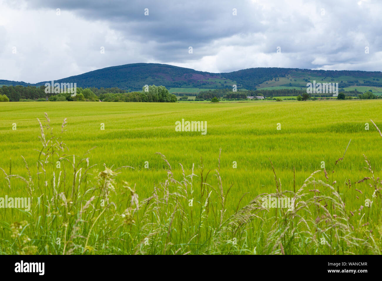 Strichen scotland hi-res stock photography and images - Alamy