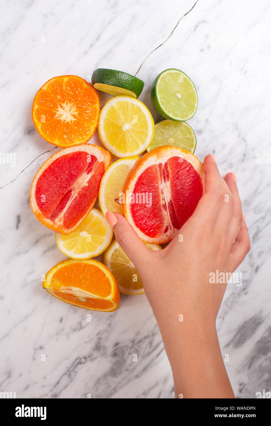 Citrus fruits. Orange, lemon, grapefruit, mandarin and lime on a trendy ...