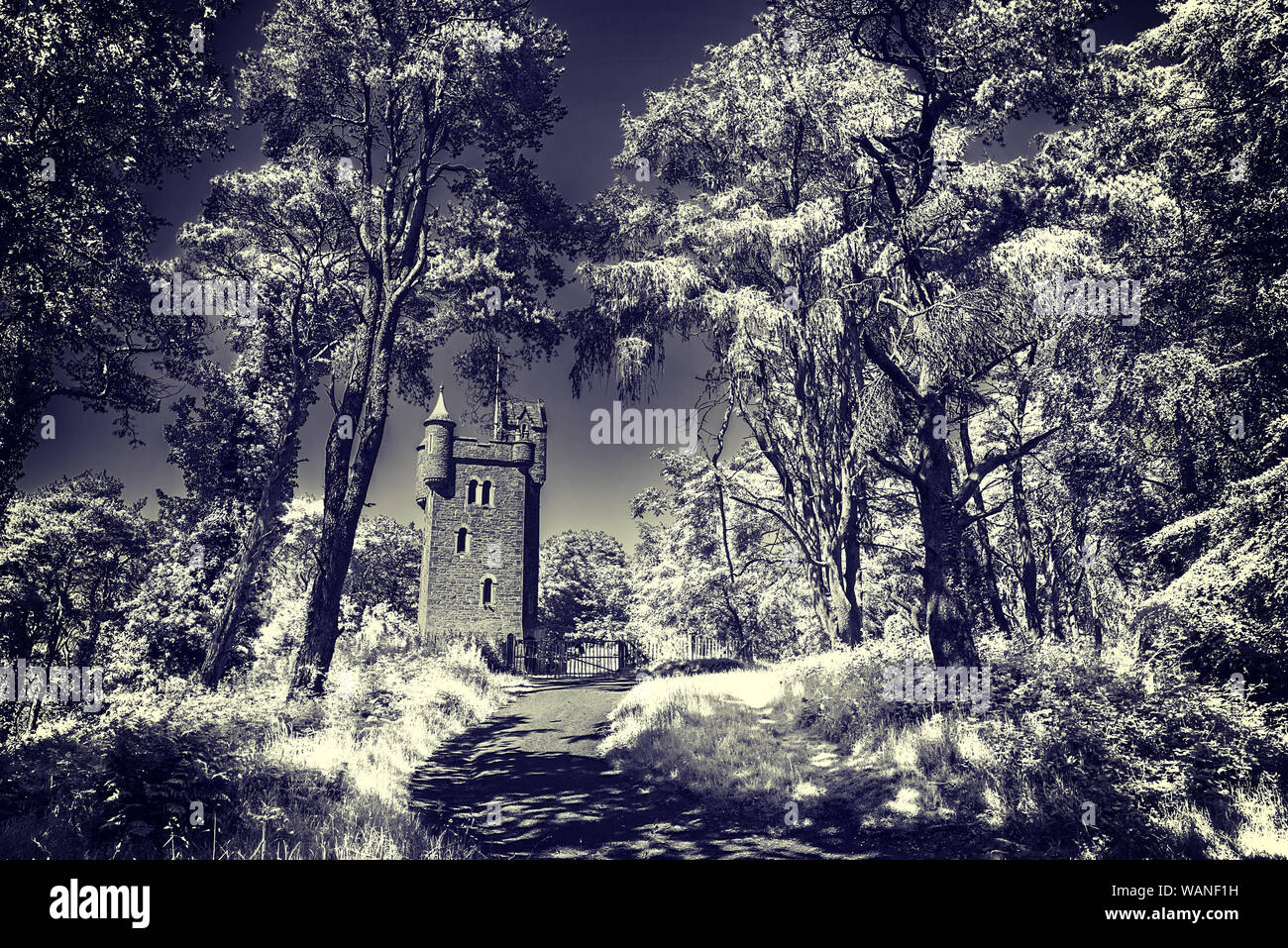 Helen's Tower in Clandeboye Wood, Bangor, County Down, Northern Ireland ...