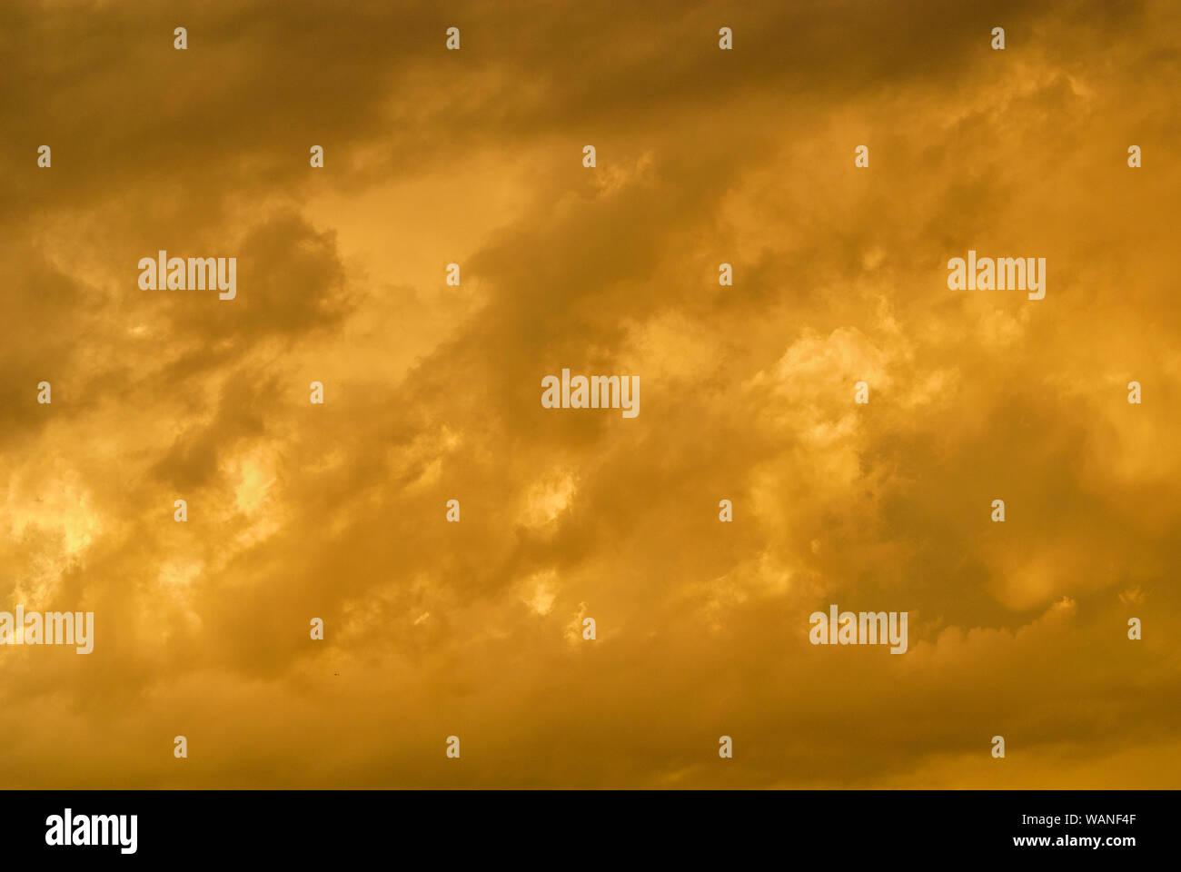 Wonderful sunset sky with golden clouds as background Stock Photo - Alamy