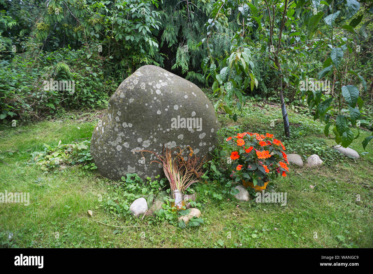 Forfar loch scotland hi-res stock photography and images - Alamy