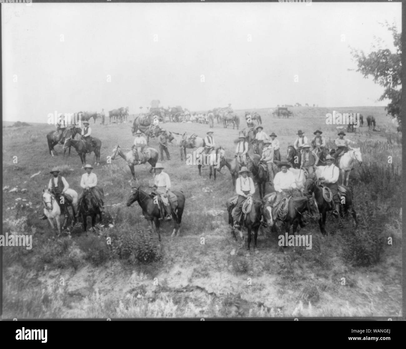 Cow boy hat in Black and White Stock Photos & Images - Alamy