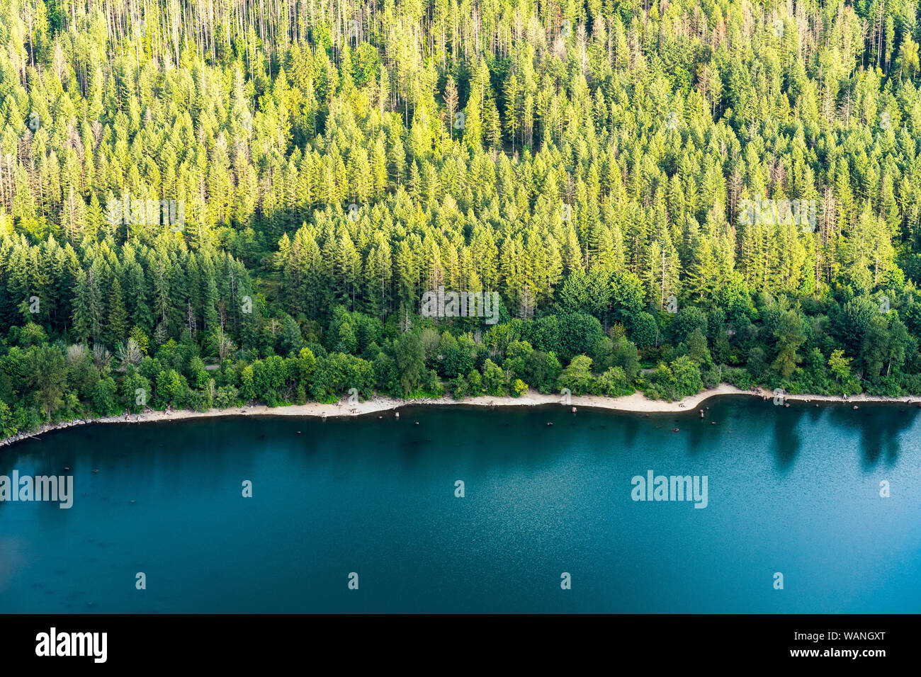 Summer sunset is lighting up the forest by the mountain lake in WA ...