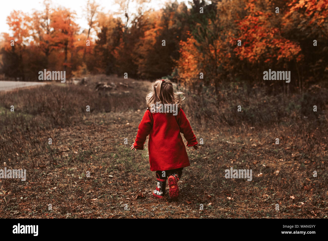 Beautiful walk hi-res stock photography and images - Alamy
