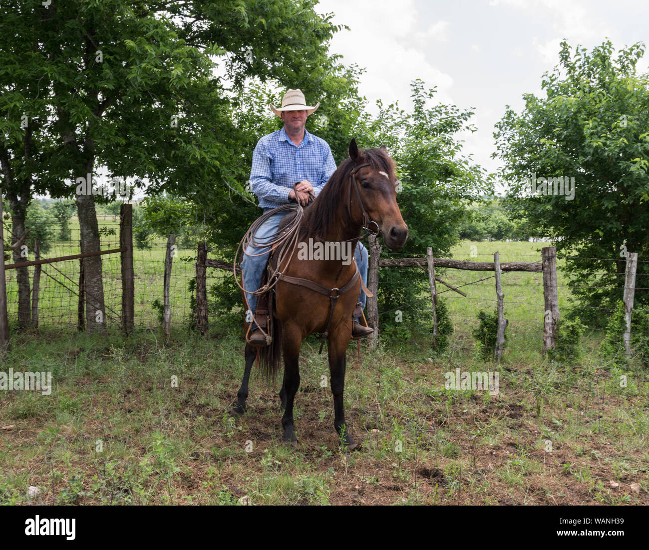 Cowhand Craig Bauer, atop his horse, Spaghetti, at the 1,800-acre ...