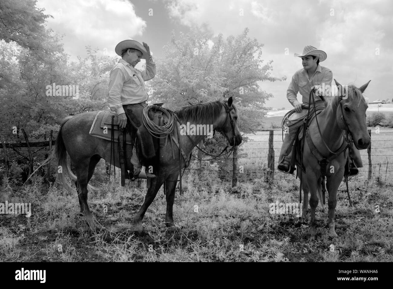 Texas cowboys austin Black and White Stock Photos & Images - Alamy