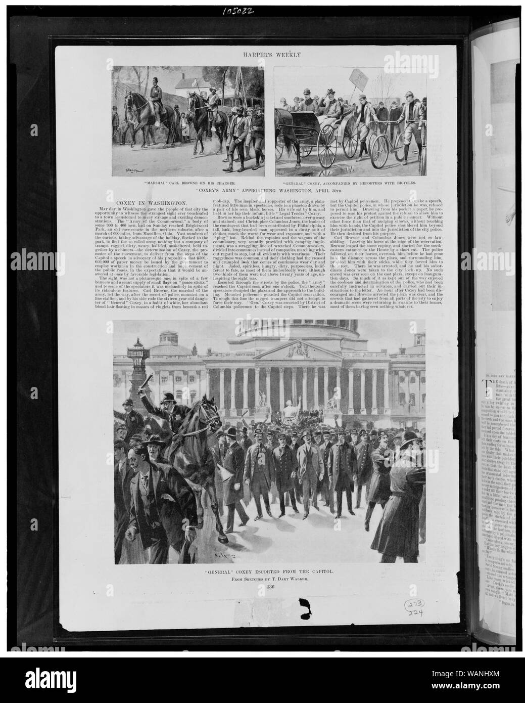 Coxey’s army hi-res stock photography and images - Alamy