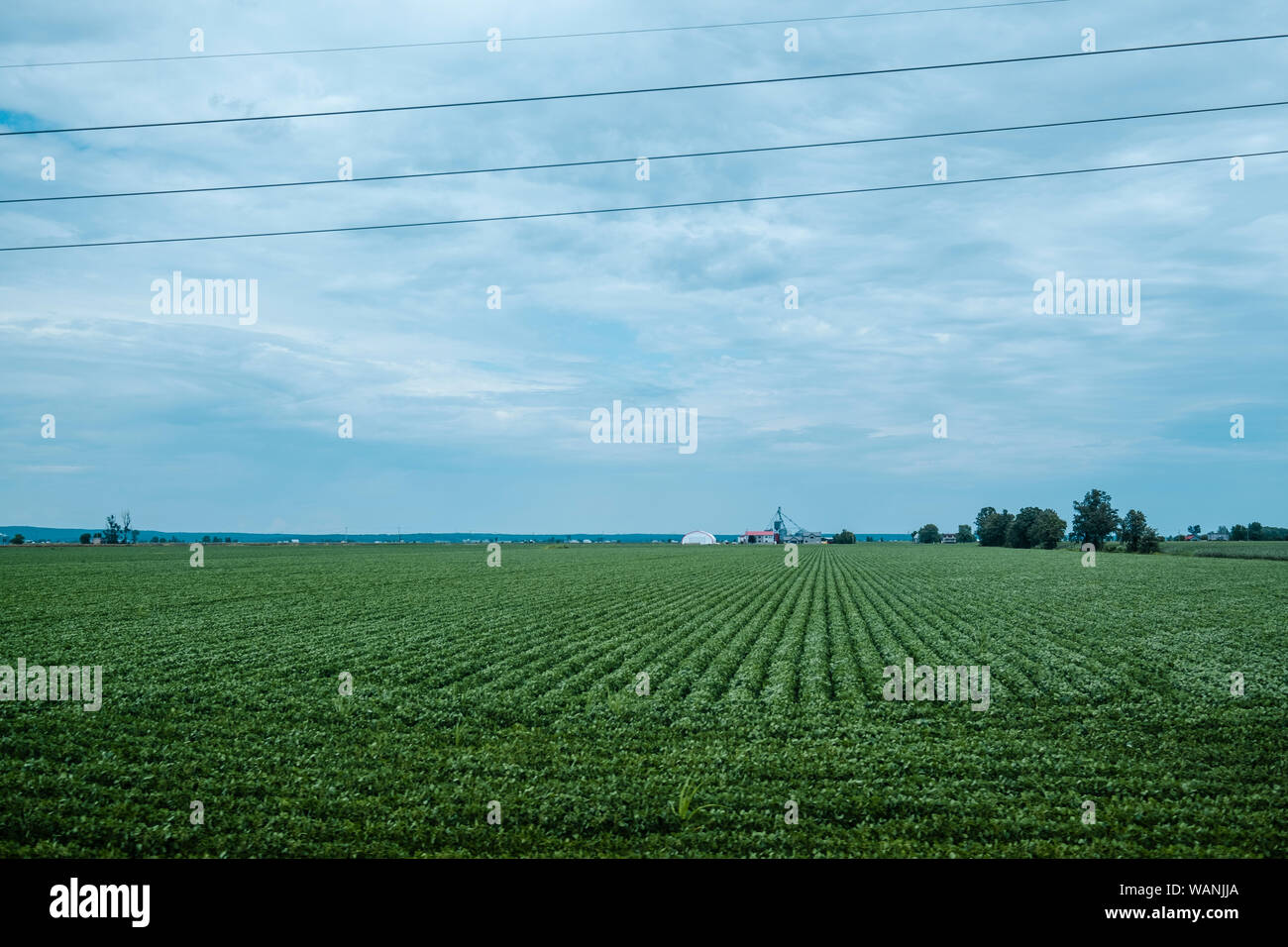 Green field, agricultural landscape, Canada Stock Photo - Alamy
