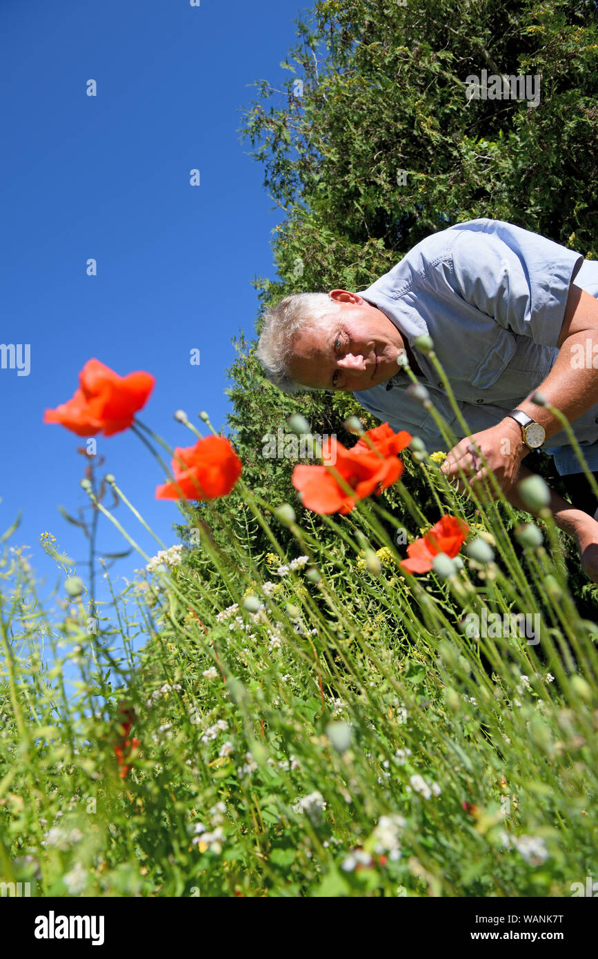 Chief gardener hi-res stock photography and images - Alamy