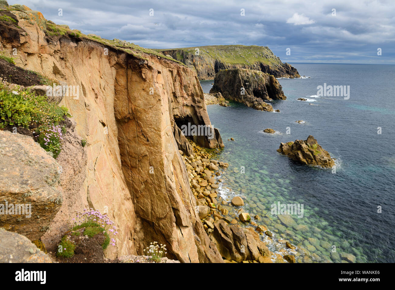 Sea Thrift on rock wall of Carn Greeb looking to Enys Dodnan rock arch ...