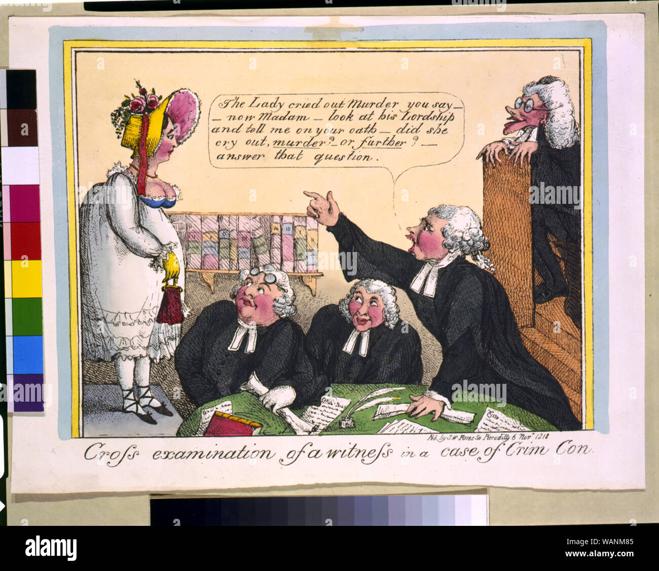 Cross examination of a witness in a case of crim con Abstract: British ...