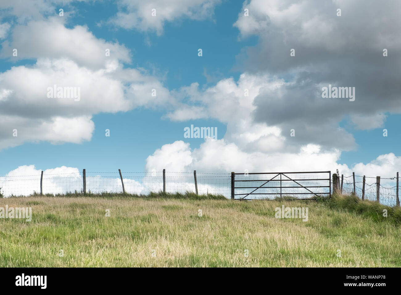 Green Meadow Field, with Gate, Fence & Blue Sky/White Cloud Stock Photo ...