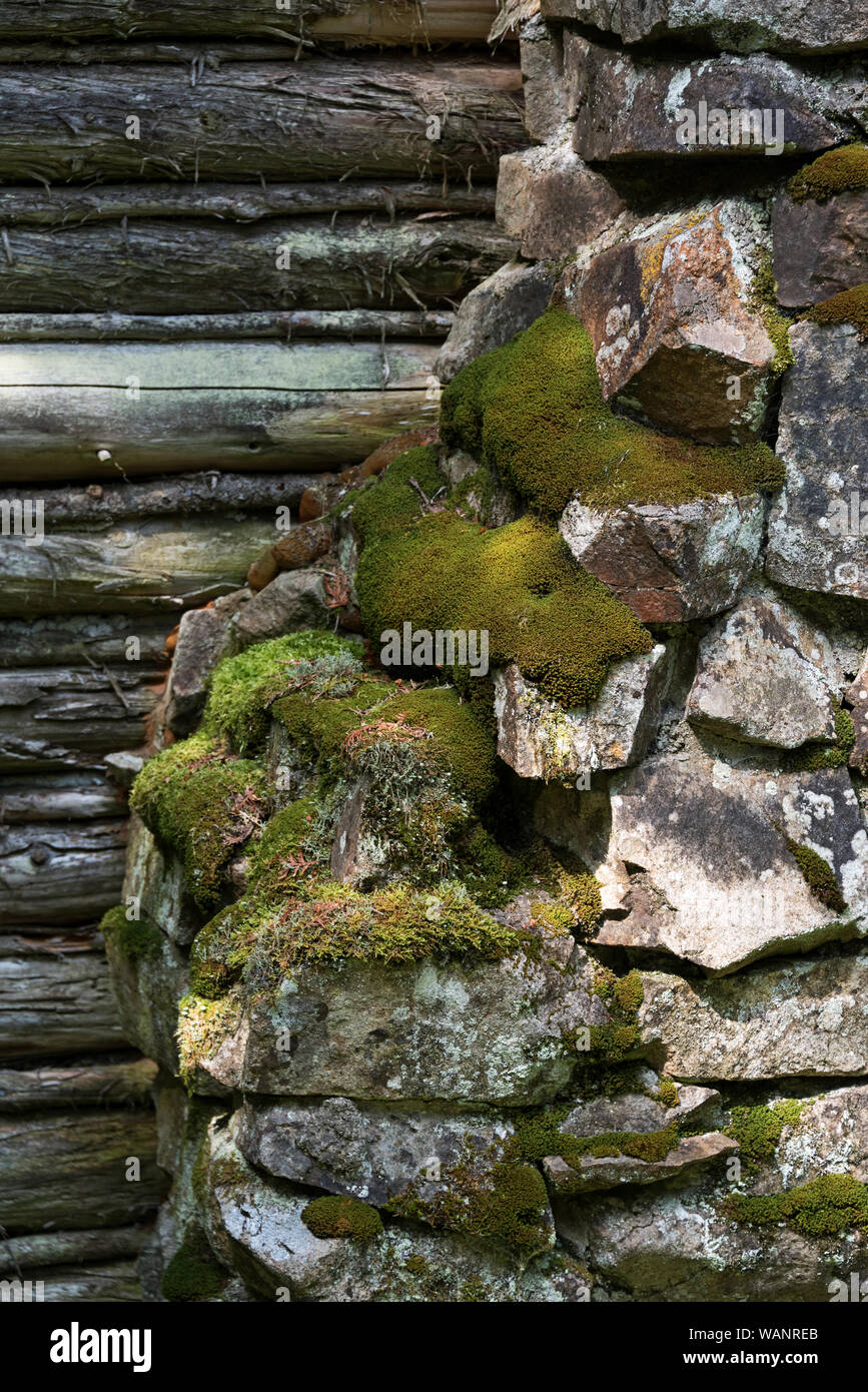 Moss growing on the stone chimney of a log cabin on Isle au Haut, Maine ...