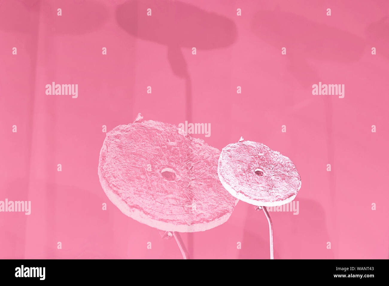 art in pink, performance - spain Stock Photo - Alamy