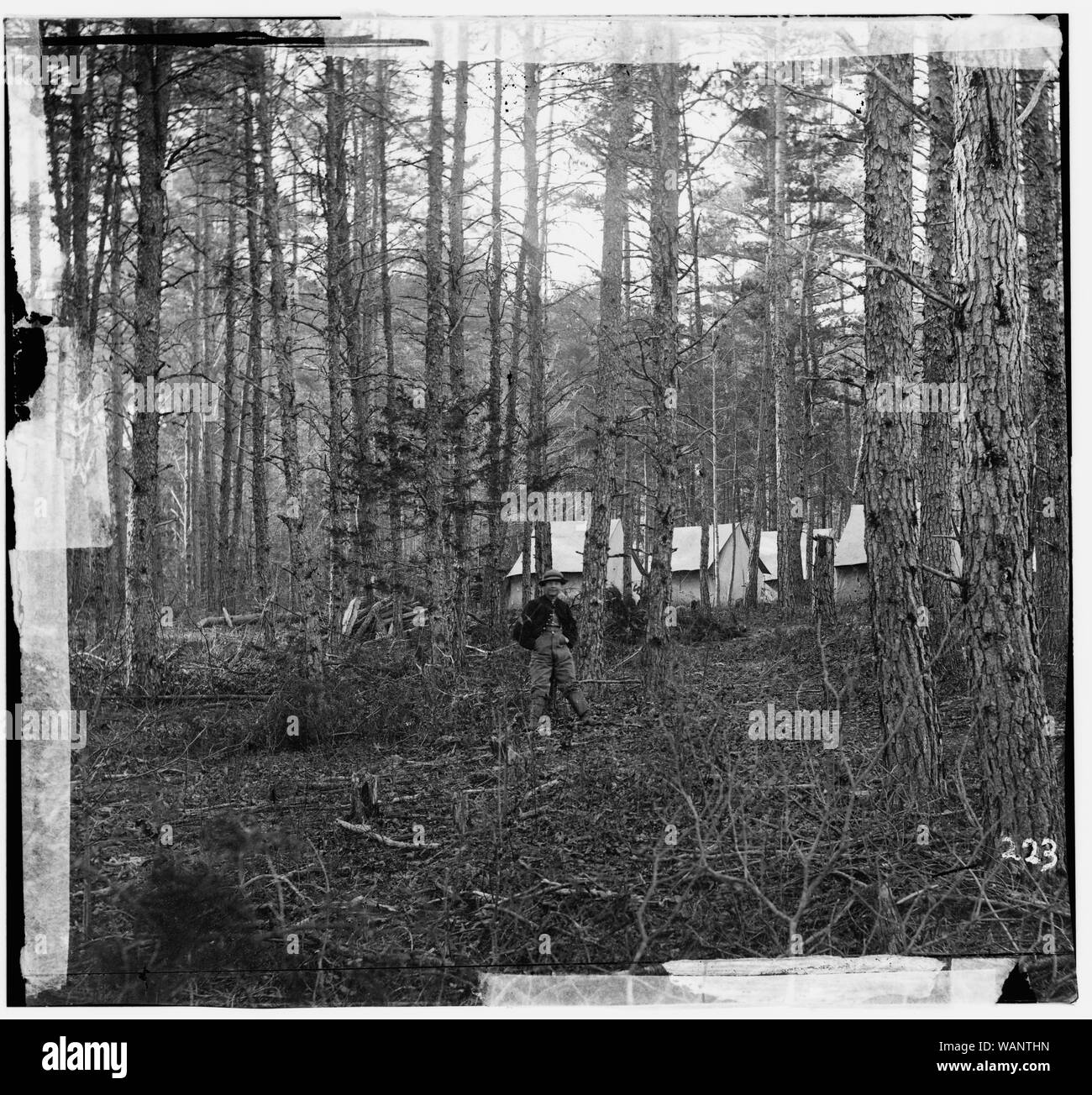 Culpeper, Virginia. Camp in the woods Stock Photo - Alamy