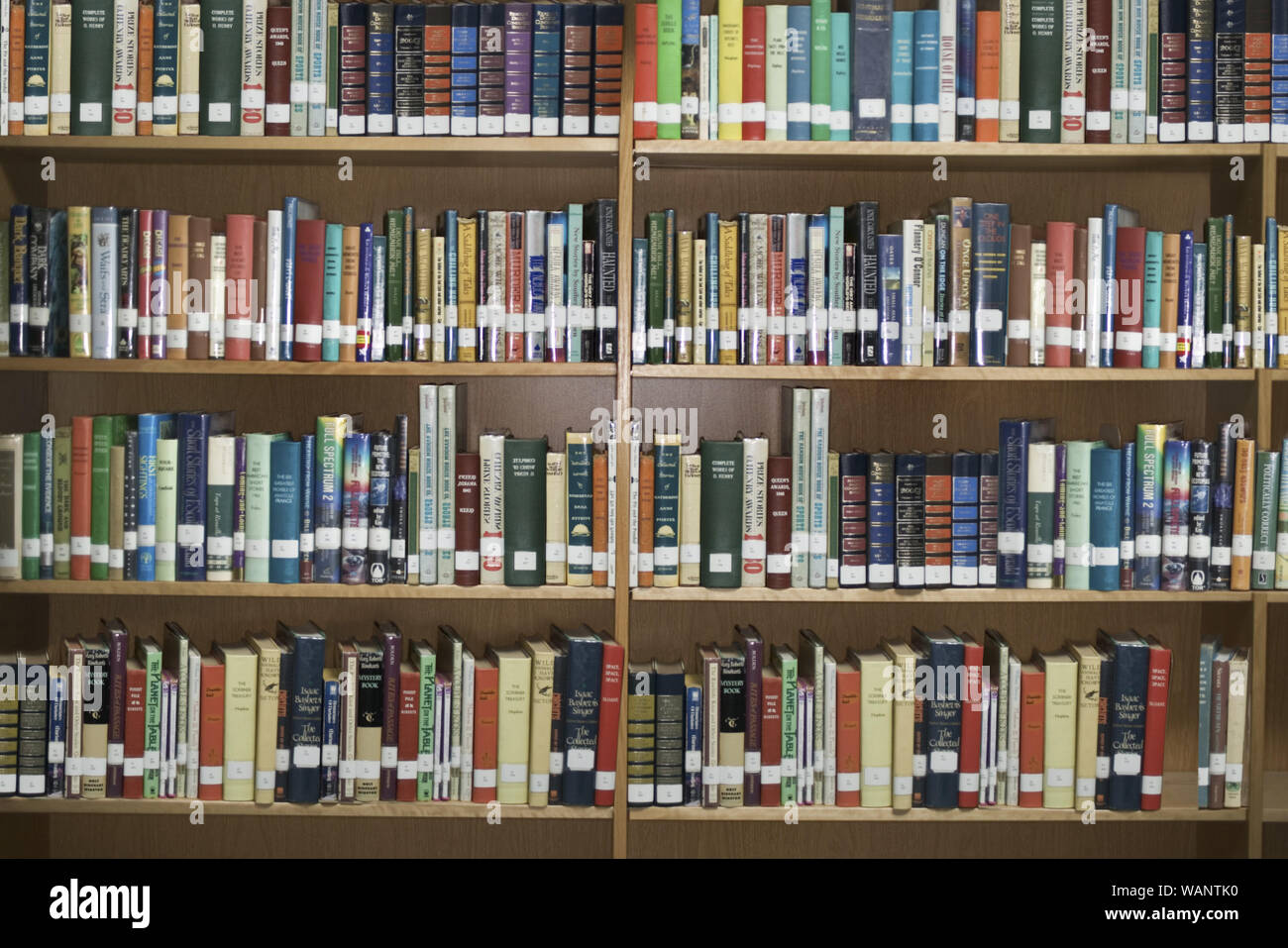 Books arranged in a row Stock Photo - Alamy