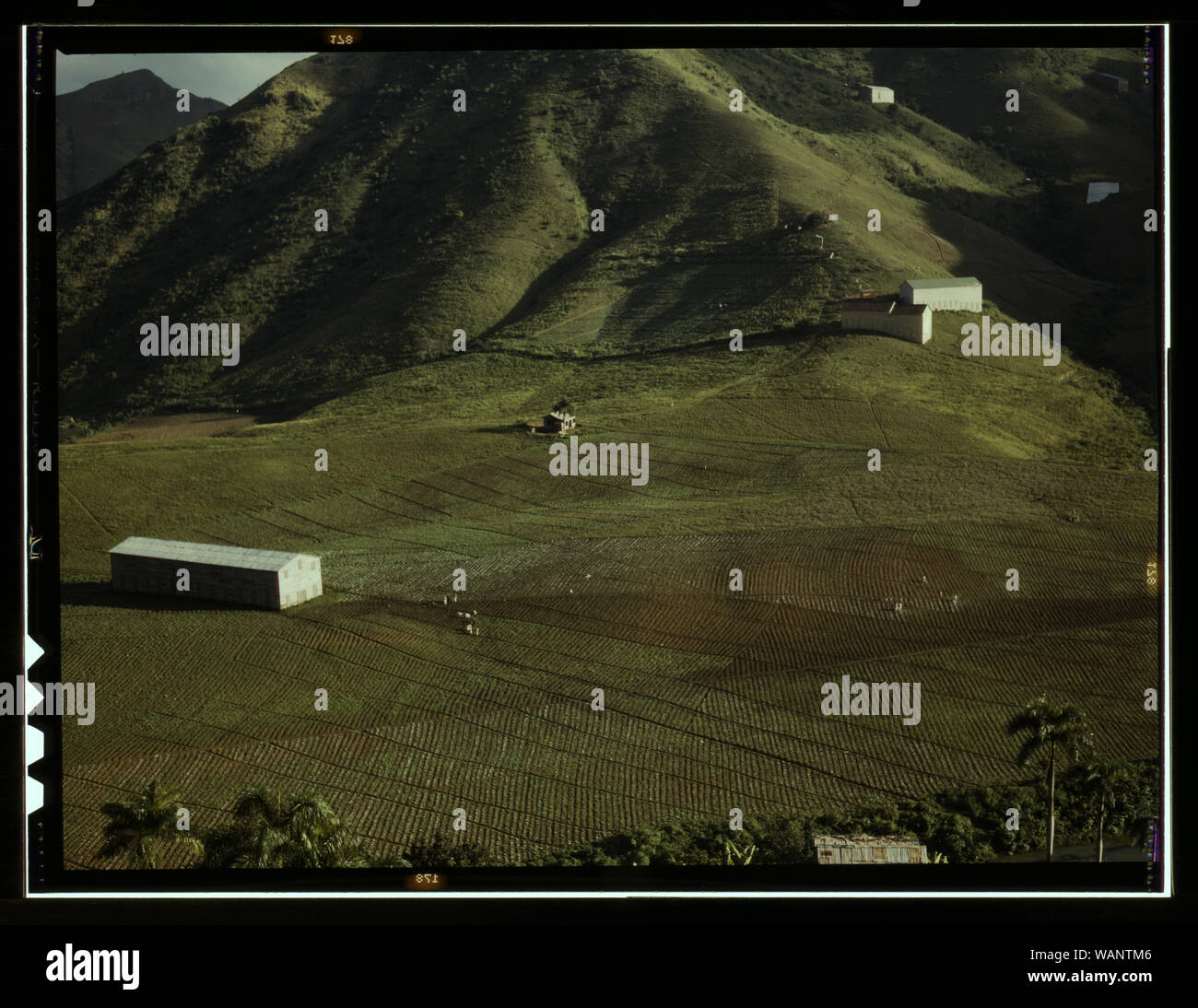 Puerto rico reconstruction administration hi-res stock photography and ...