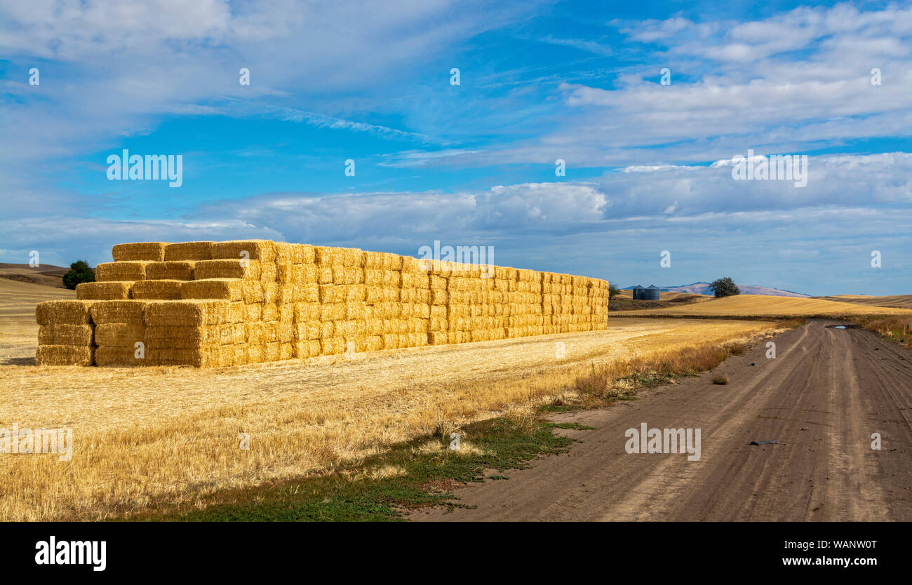 Washington, Palouse Region, stacked hay bales, rural dirt road Stock ...