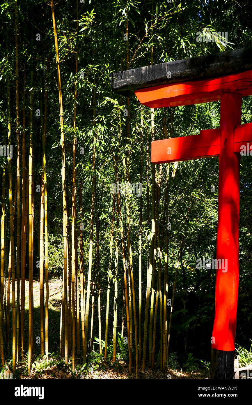Red Torii and bamboo forest, La Bambouseraie - Bamboo park, Prafrance ...