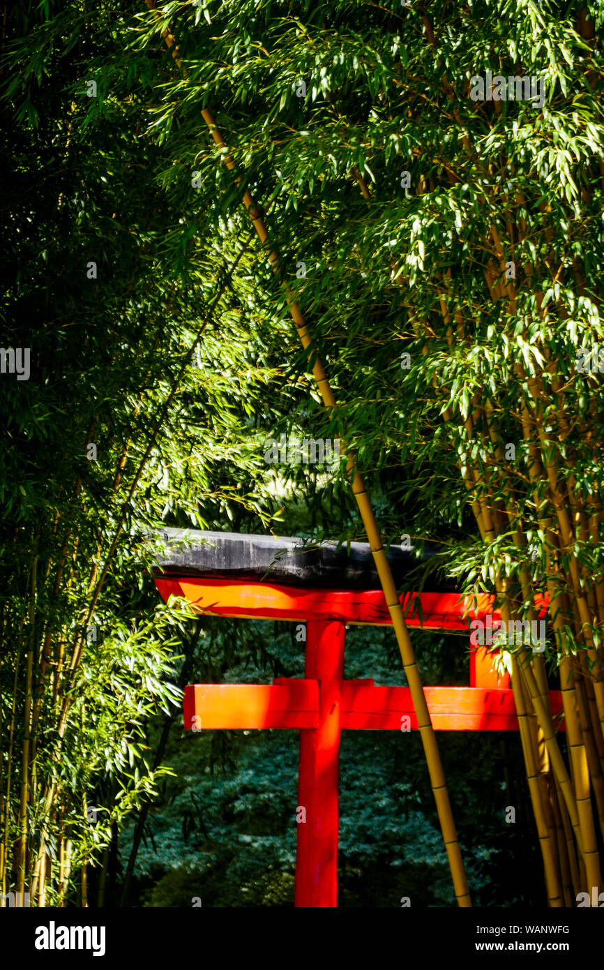 Red Torii and bamboo forest, La Bambouseraie - Bamboo park, Prafrance ...