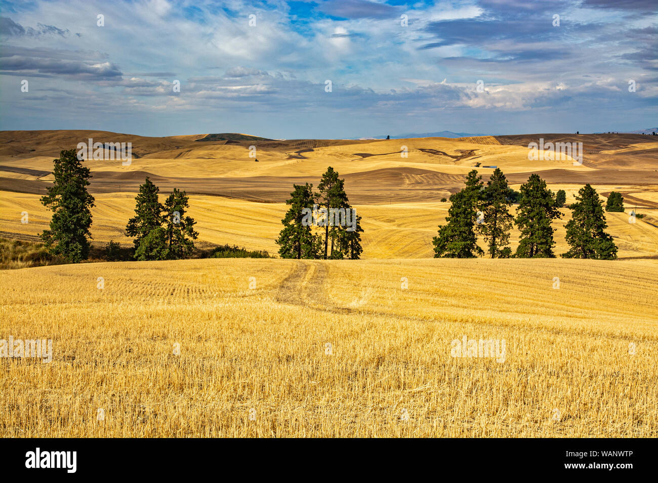 Washington, Palouse Region, Kamiak Butte County Park, views, fall ...