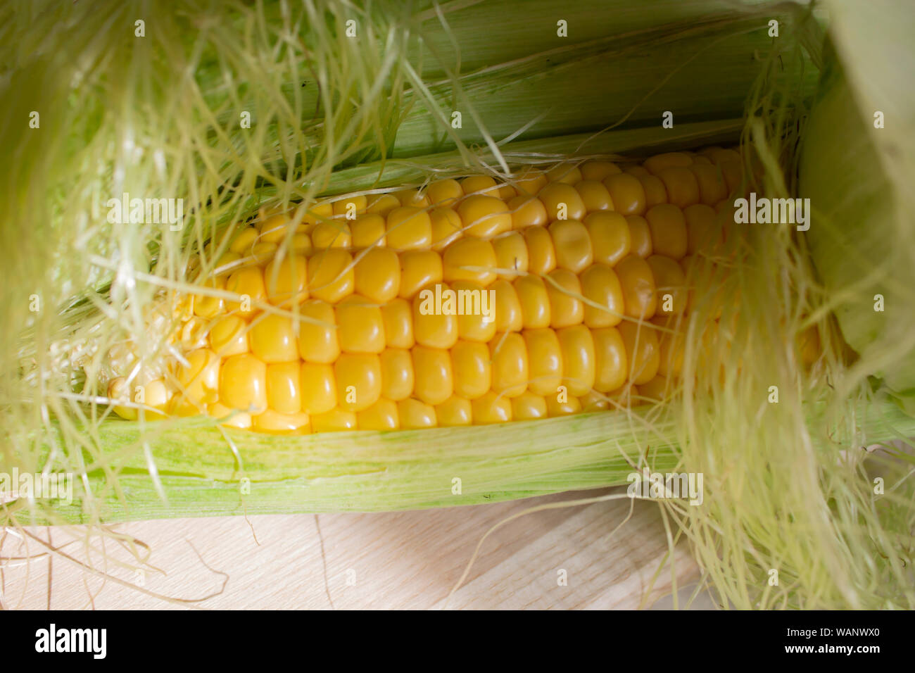 Grains of ripe corn. macro. Corn on the cob, the food is ripe, juicy ...