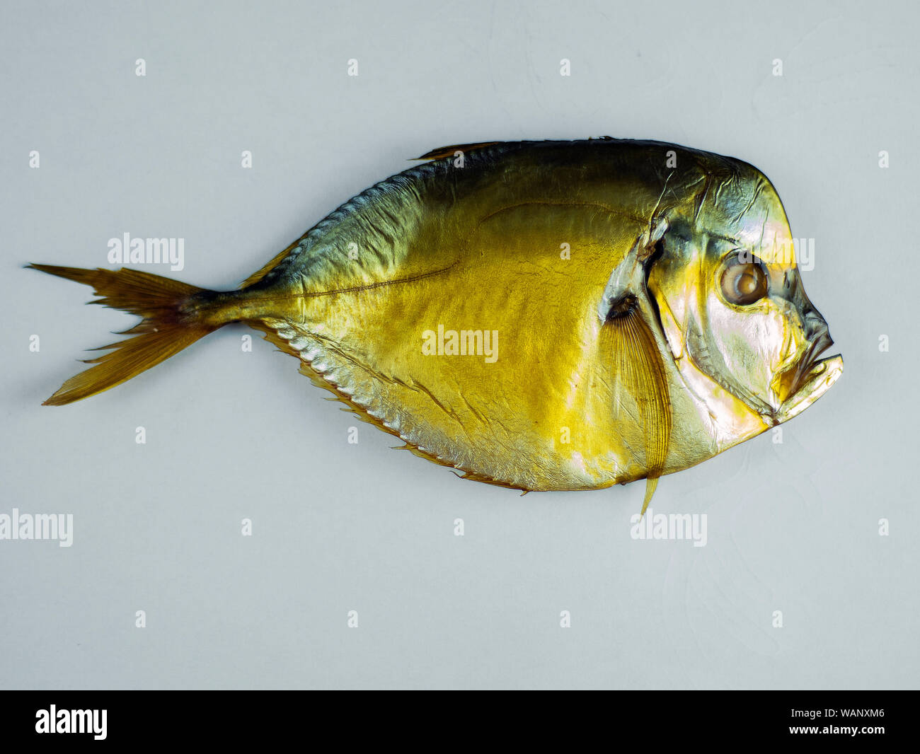 Smoked fish on light background. Top view Stock Photo - Alamy