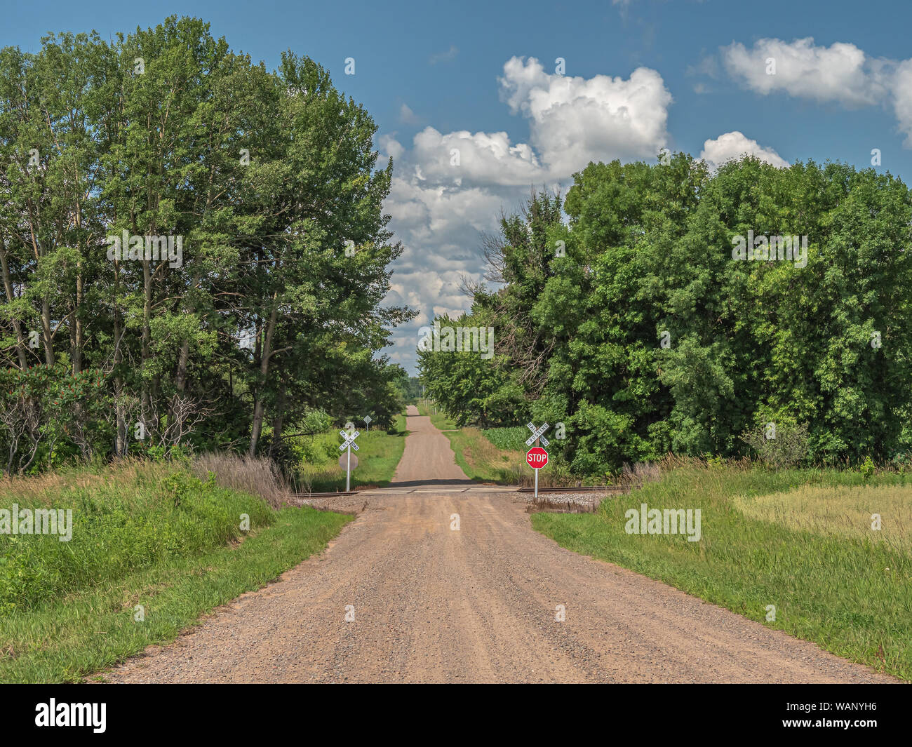 Rural rail road crossing at an unpaved dirt road with trees and blue sky and white clouds on a ...