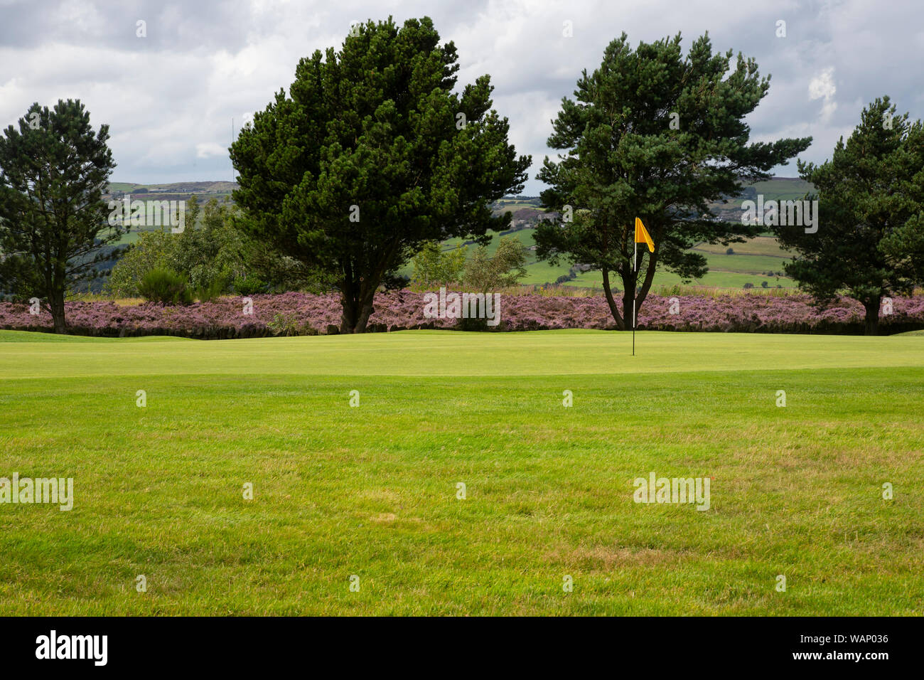 Putting green on a heath land golf course in West Yorkshire in late ...