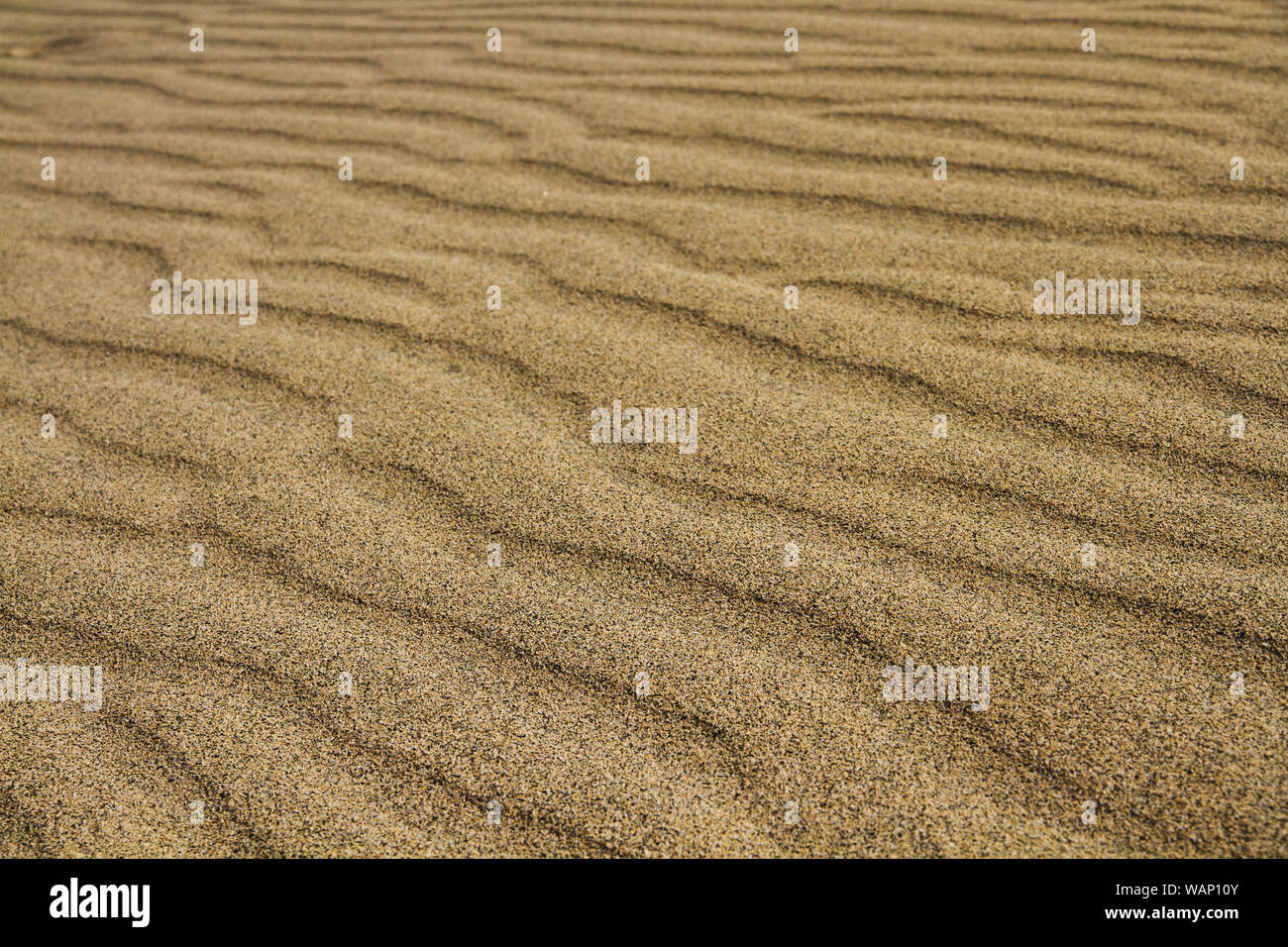 Sand texture seamless hi-res stock photography and images - Alamy