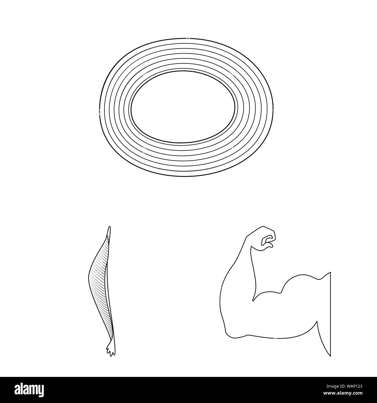 Vector illustration of fiber and muscular icon. Set of fiber and body ...