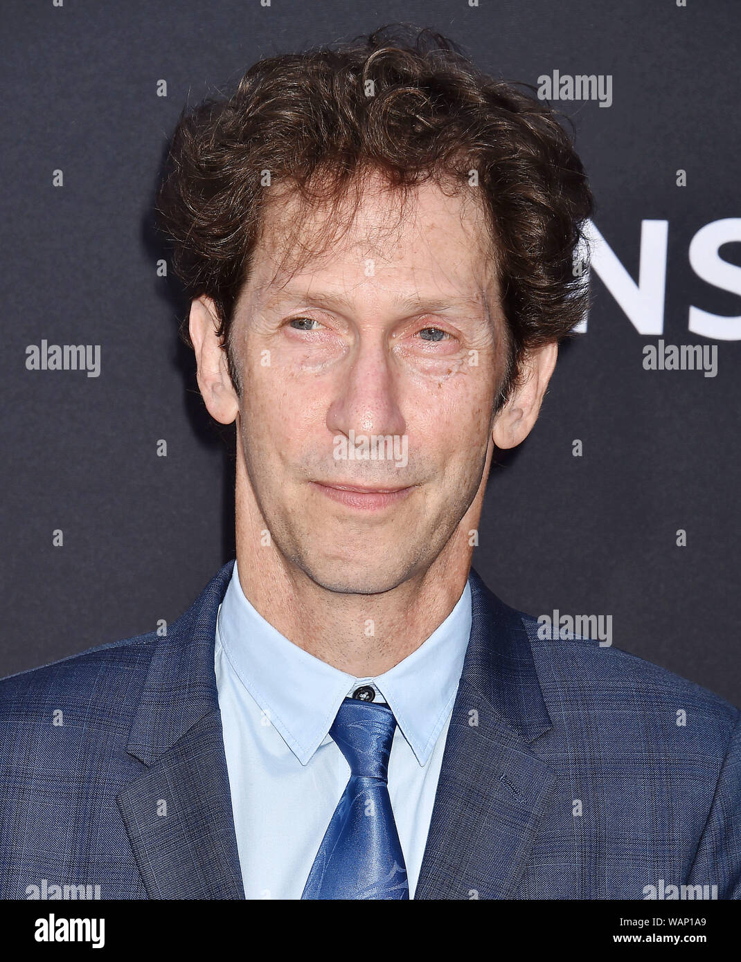 WESTWOOD, CA - AUGUST 20: Tim Blake Nelson attends the LA Premiere of ...