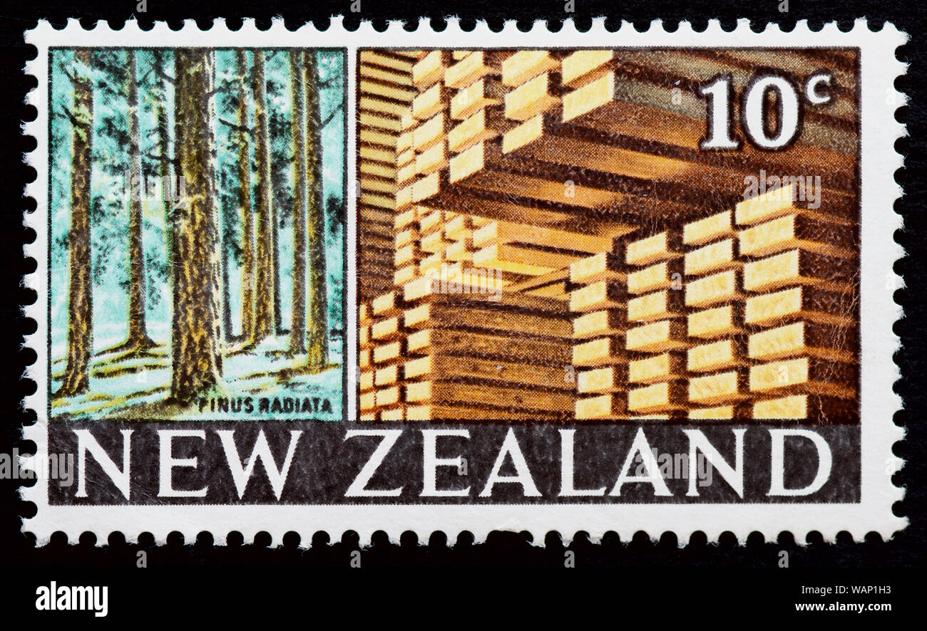 New Zealand Postage Stamp - Pinus Radiata Stock Photo - Alamy
