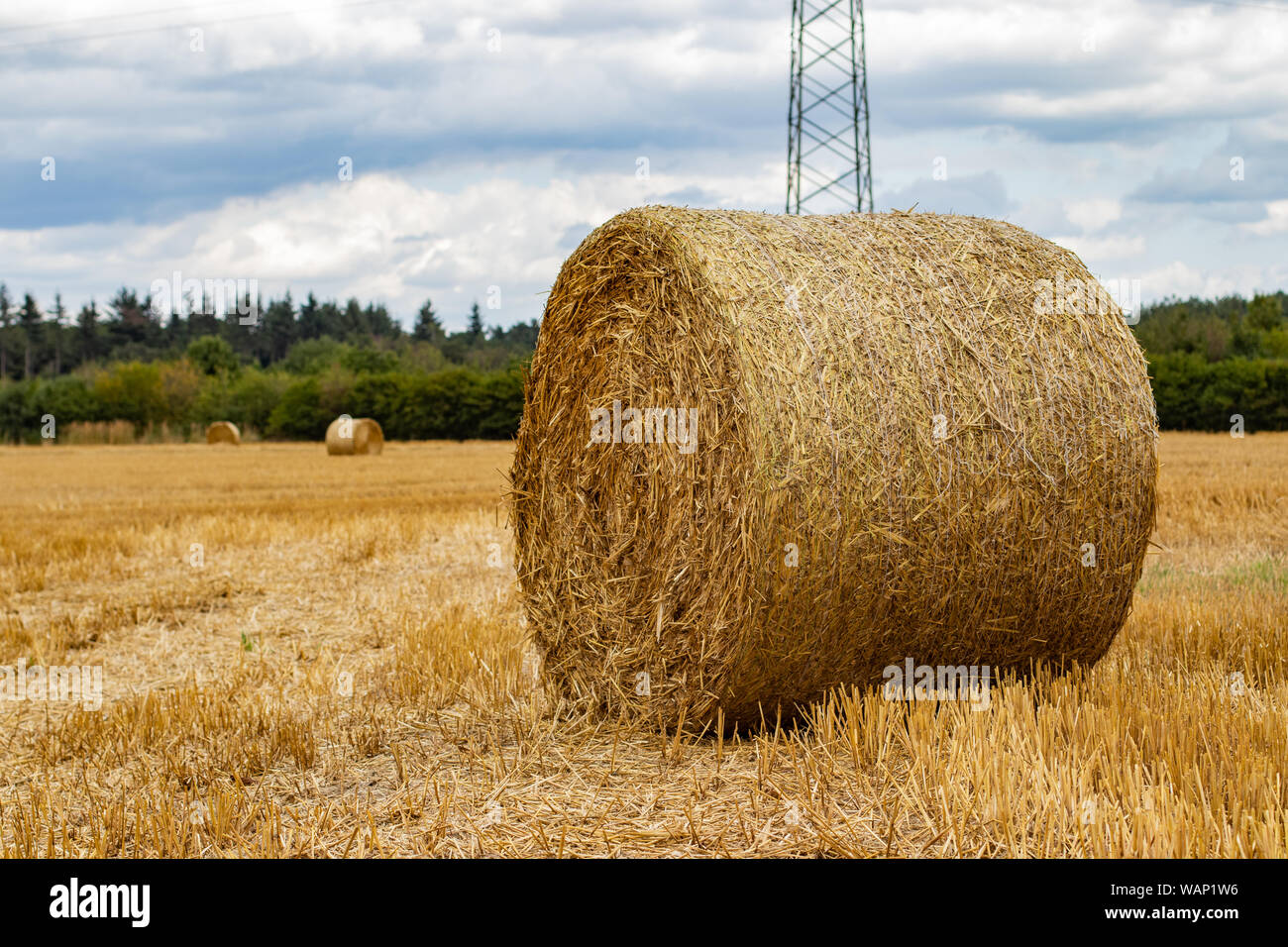 Hay bundles hi-res stock photography and images - Alamy
