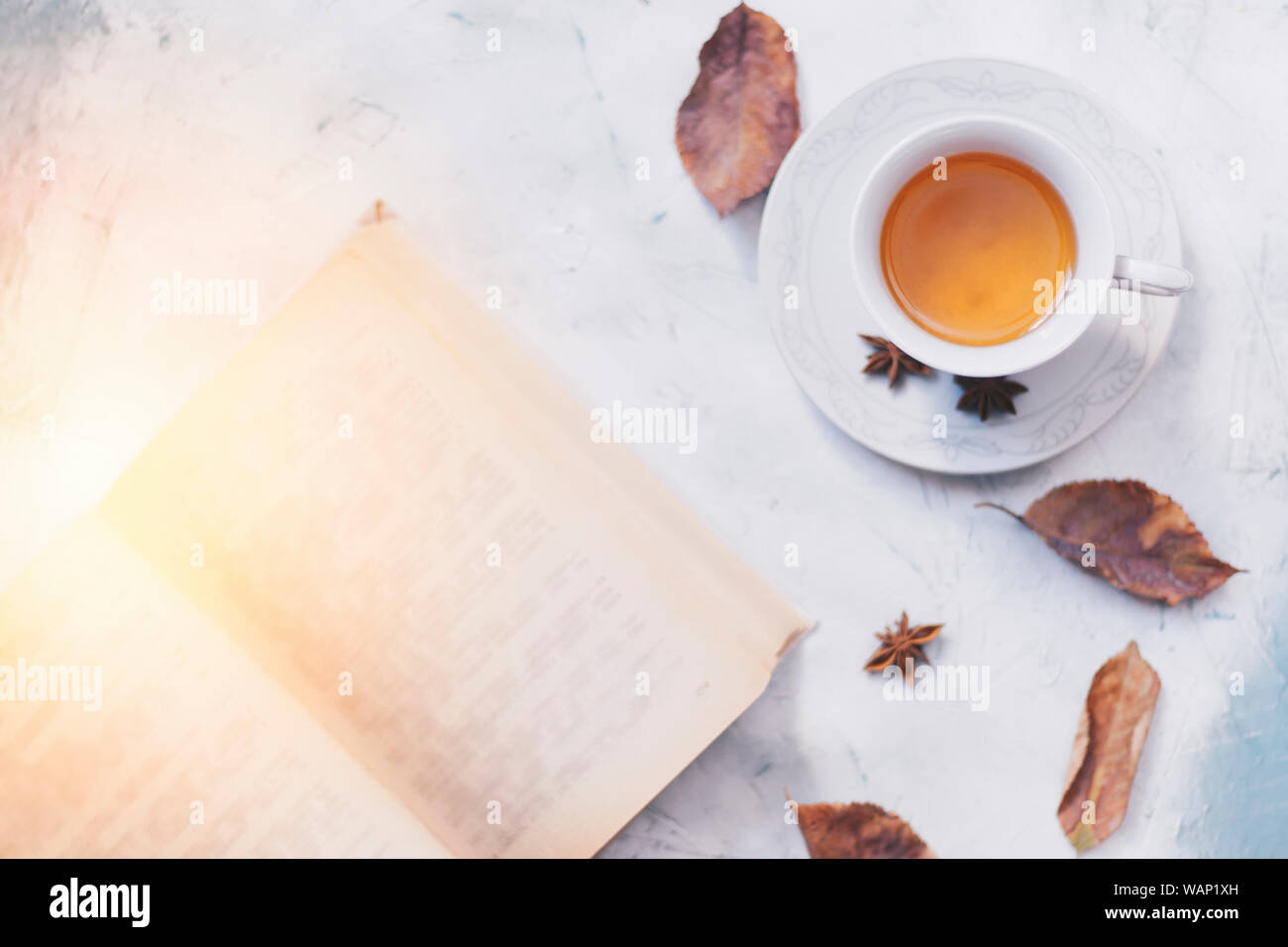Autumn conceptual background. A cup of hot tea with fall leaves and ...