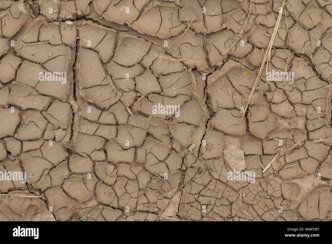 dry ground after hot and dry season Stock Photo - Alamy