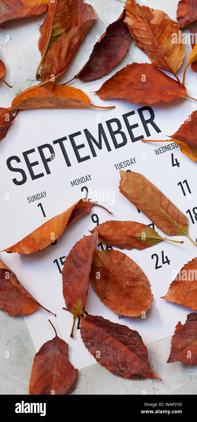 Simple 2019 September monthly calendar on table with office supplies ...